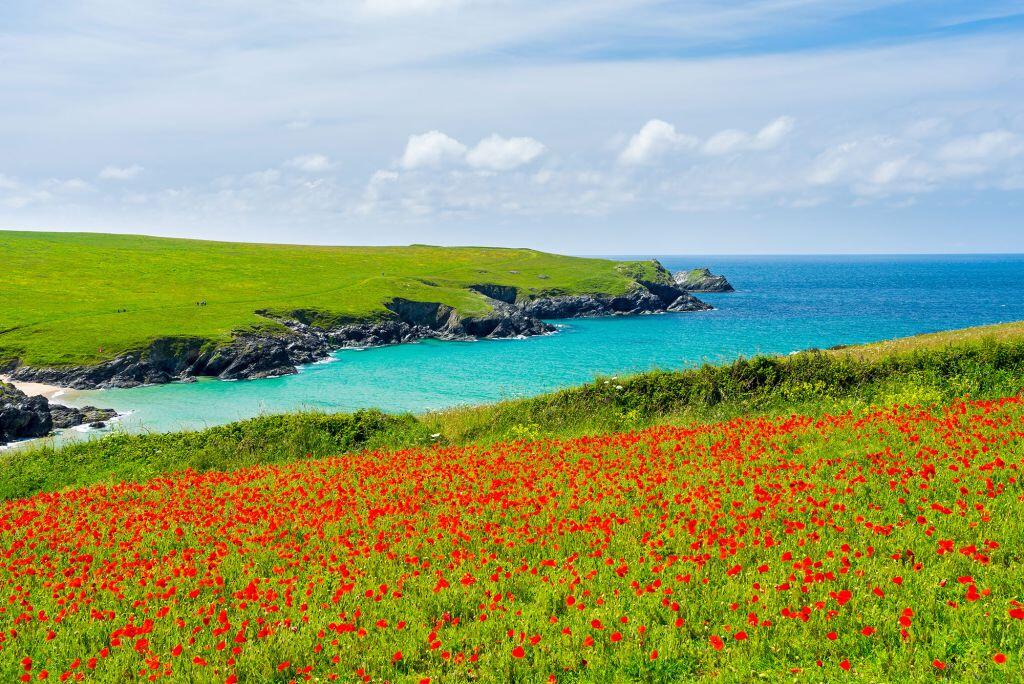 Pentreath is an award winning charity based in Cornwall